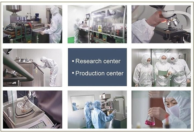 China Shandong Yuexin Yan Trading Co., LTD factory production line